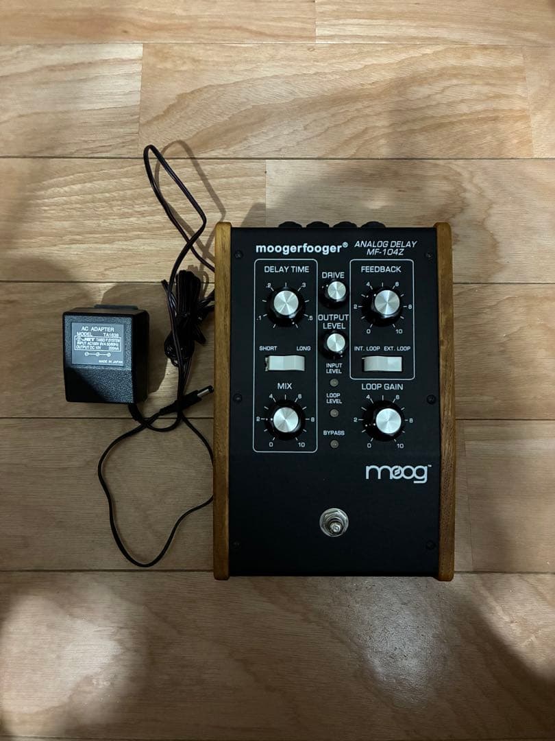 ギター Moog