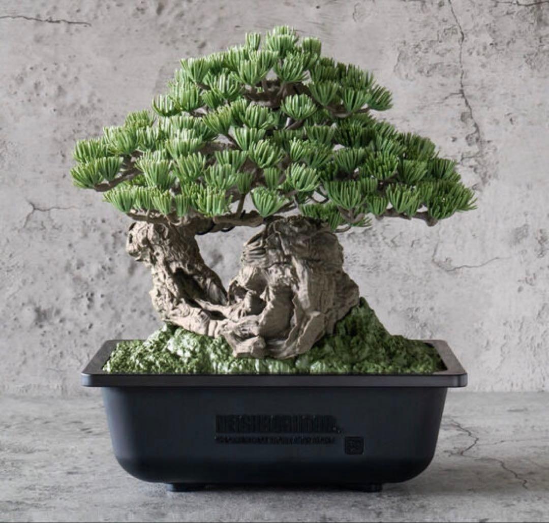 NEIGHBORHOOD SRL BANDAI BONSAI 盆栽のみ