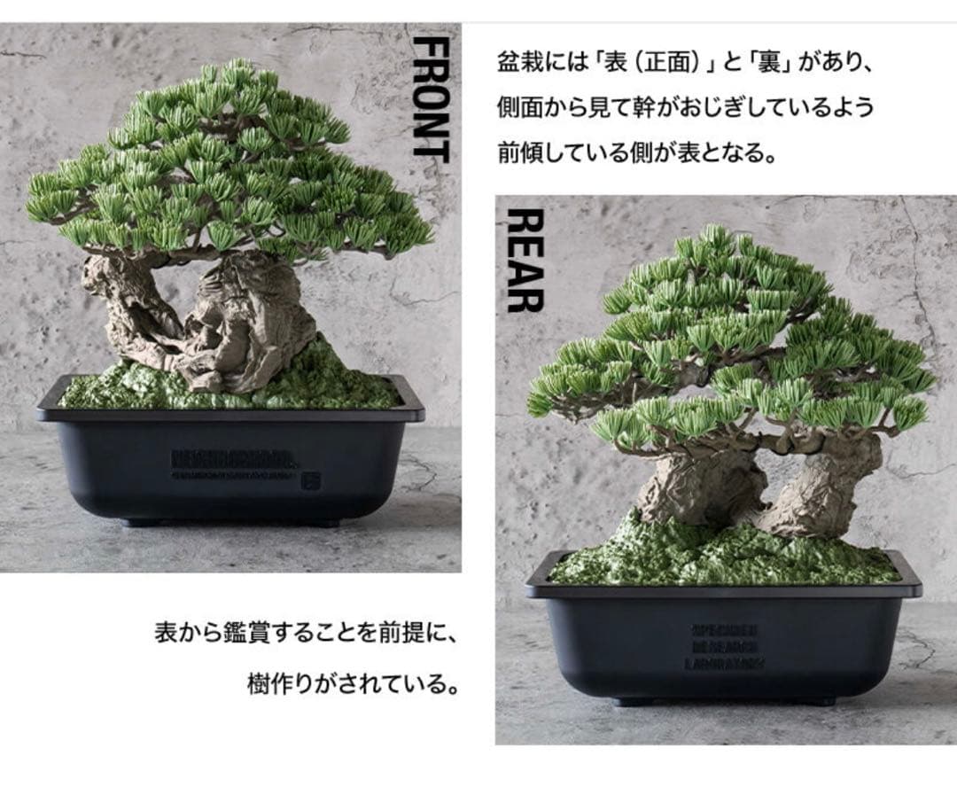 NEIGHBORHOOD SRL BANDAI BONSAI 盆栽のみ