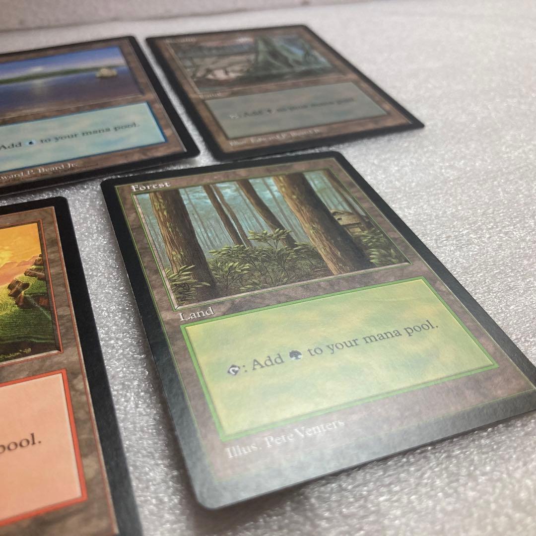 【MTG】基本土地 APAC① 5枚セット