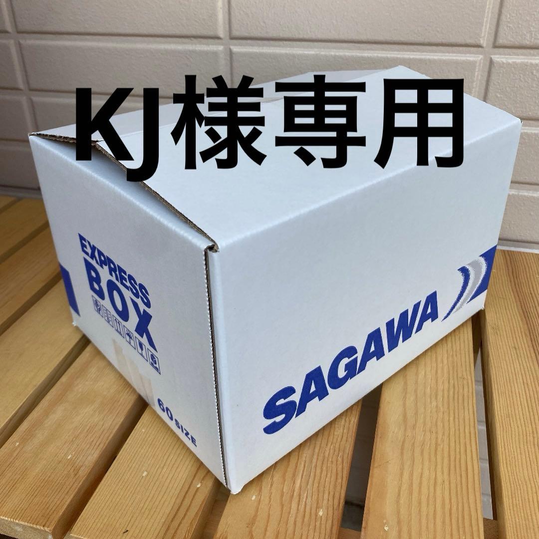 リクエスト出品(KJ)