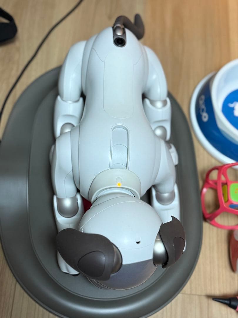 SONY AIBO☆アイボリーホワイト☆動作確認済