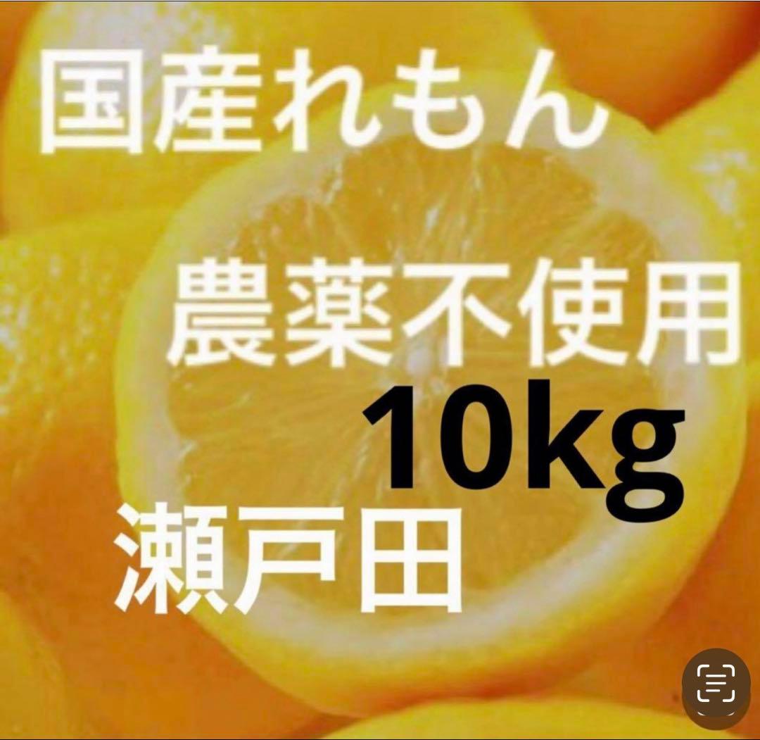 国産瀬戸田レモン10kg￼