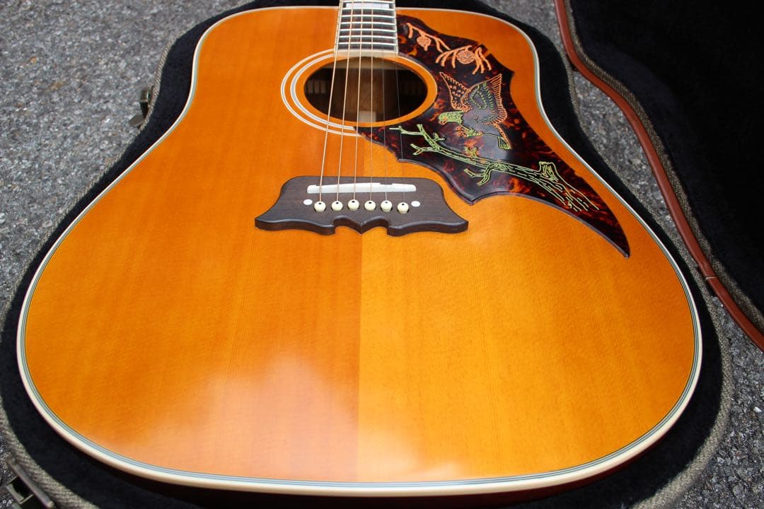Epiphone Masterbilt Excellente ハードケース付き