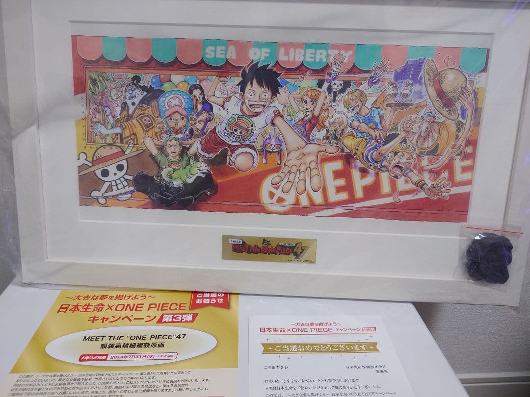 ワンピース meet the onepiece 47 複製原画 当選品