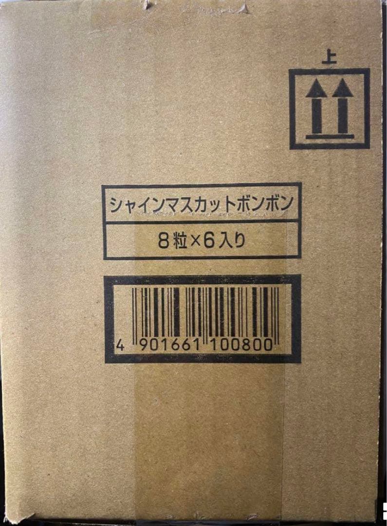 シャインマスカットボンボン 8粒×6入り