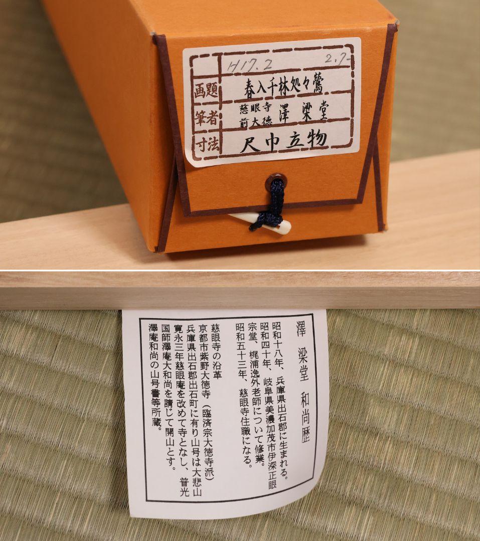 【真作】慈眼寺 澤梁堂 一行書「春入千林処々鶯」紙本 掛軸 茶掛 MA979