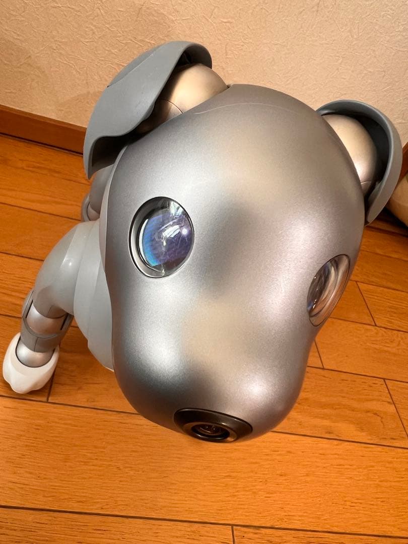 黒ごまエディション　SONY aibo ERS-1000 本体