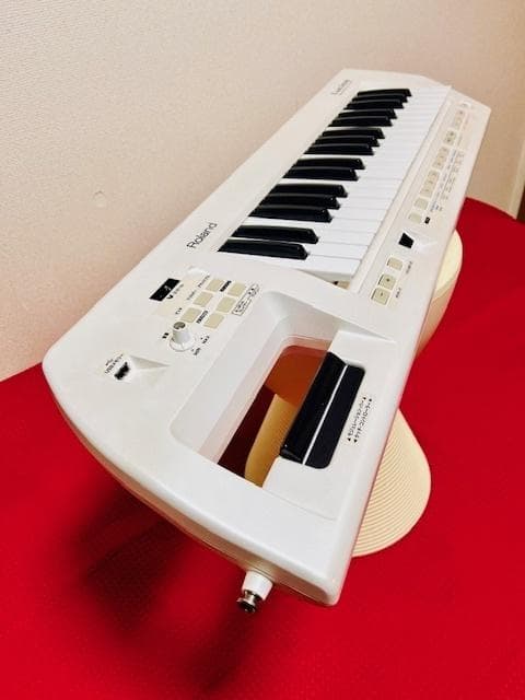 Roland Lucina AX-09 キーボード シンセサイザー ローランド