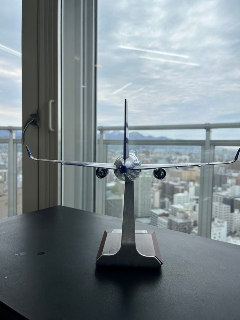 FPG 航空機モデル プラスチック製 約30cm