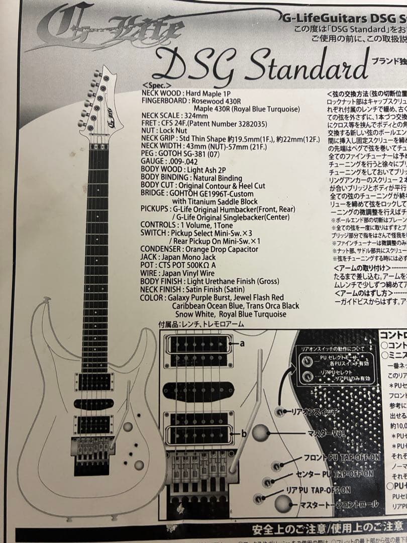 G-Life Guitars DSG Standard ギター