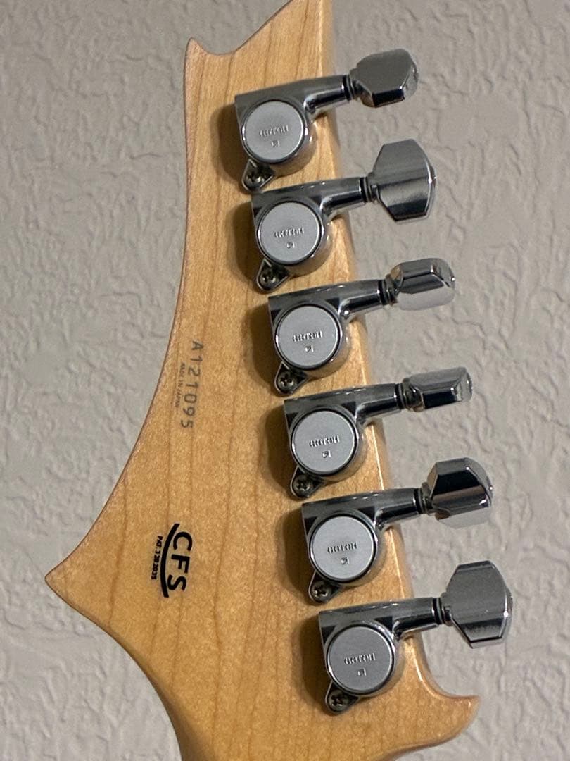 G-Life Guitars DSG Standard ギター