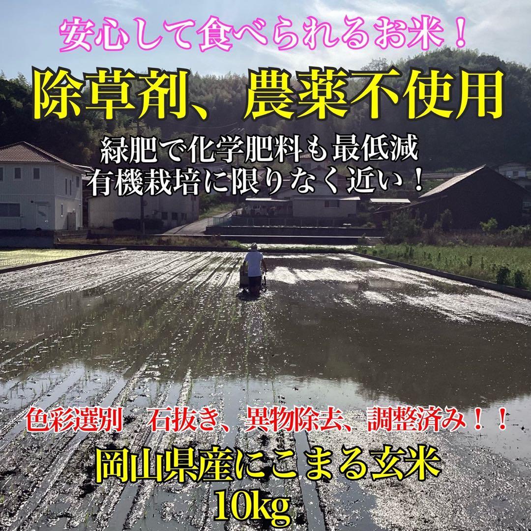 岡山県産　農薬、除草剤不使用　にこまる　玄米10㎏
