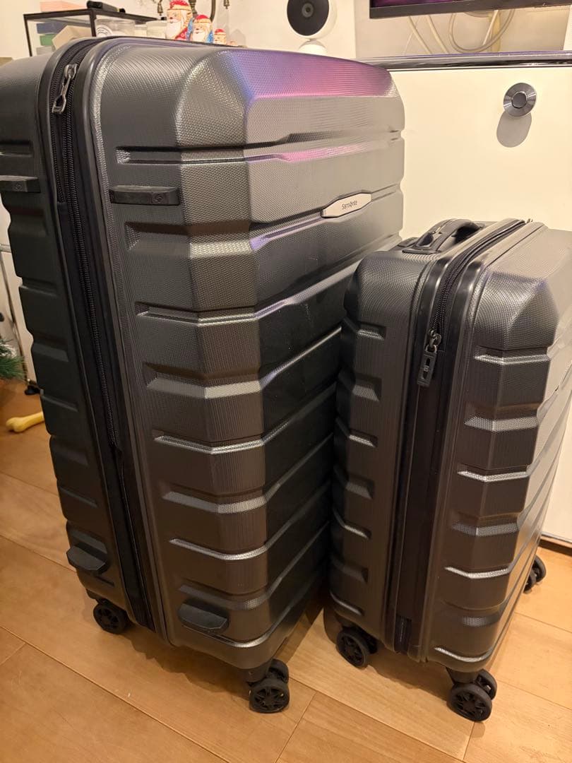 Samsonite グレー キャリーケース 112Lと41L