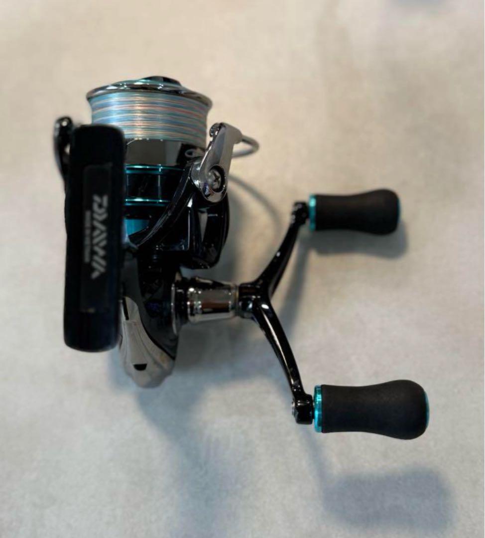 Daiwa Emeraldas 2508H リール