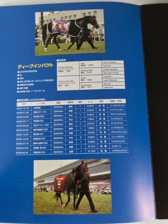 三冠馬 ディープインパクト オッズカード
