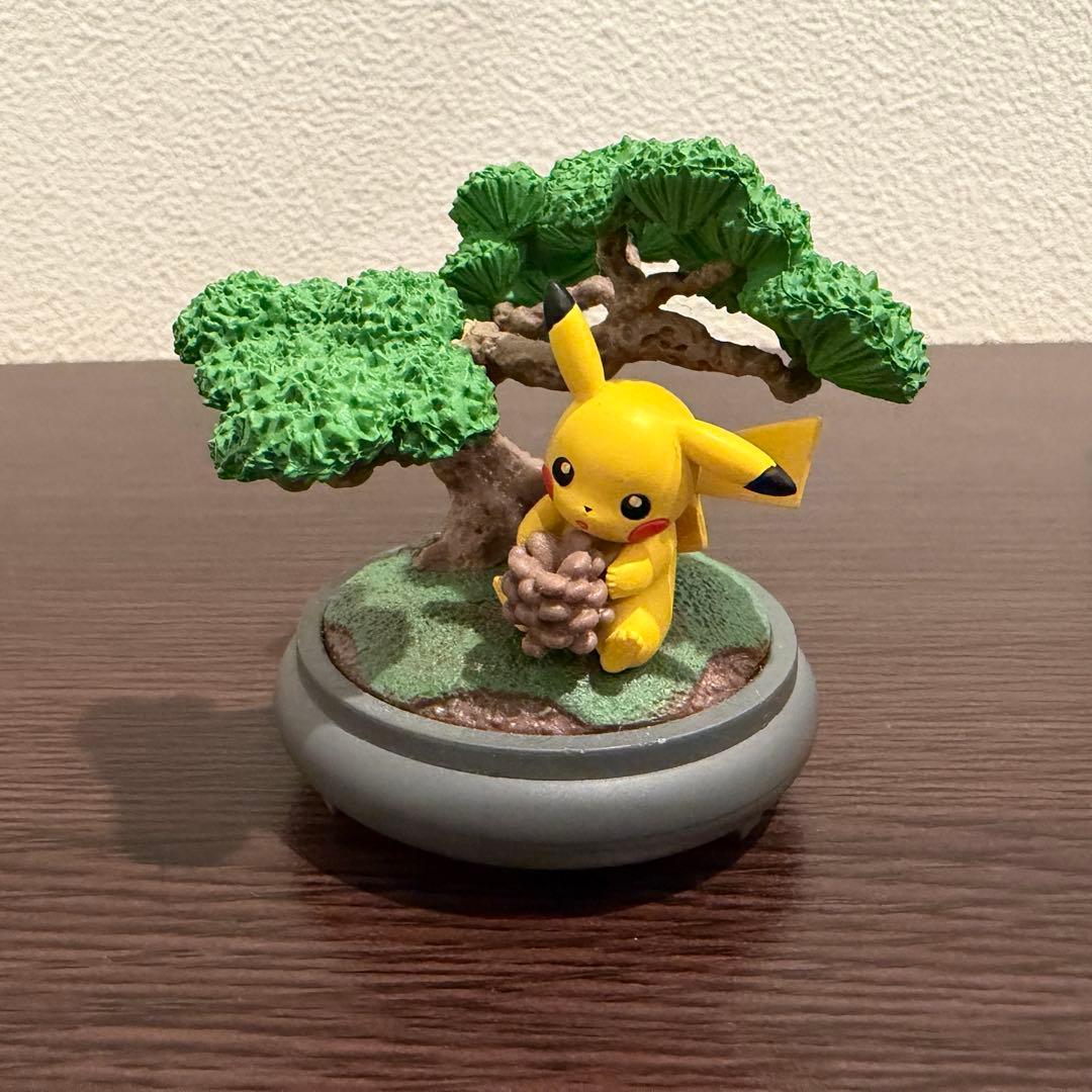 ぽけっとBONSAI vol.1