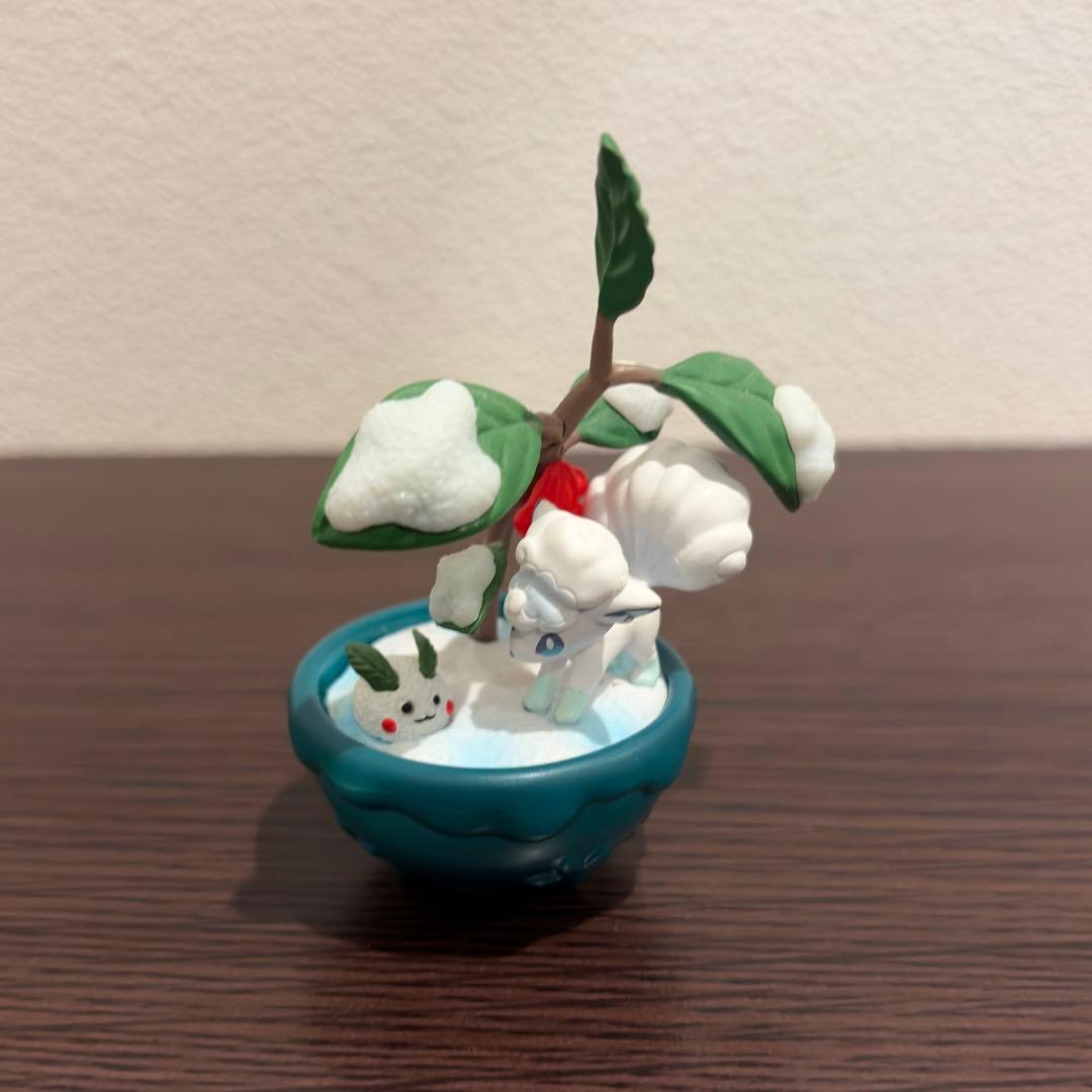 ぽけっとBONSAI vol.1