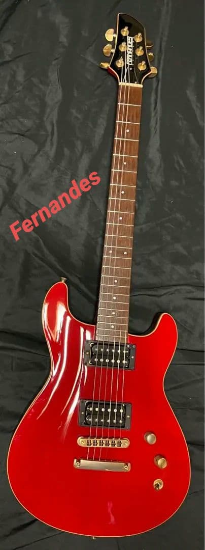 【Fernandes】APG-100