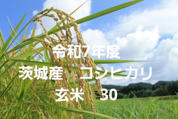 令和7年度　茨城県産　コシヒカリ　玄米30
