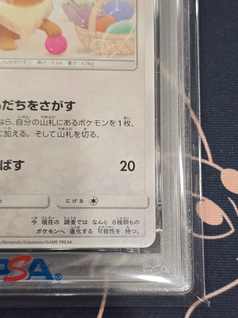 イーブイ ポケモンカードゲーム教室 SM-Pプロモカード 243 PSA10