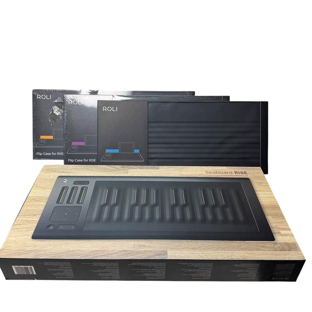 【極美品】ROLI Seaboard RISE 25&専用FilpCaseセット