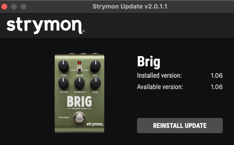 STRYMON ストライモン BRIG dBucket delay 美品