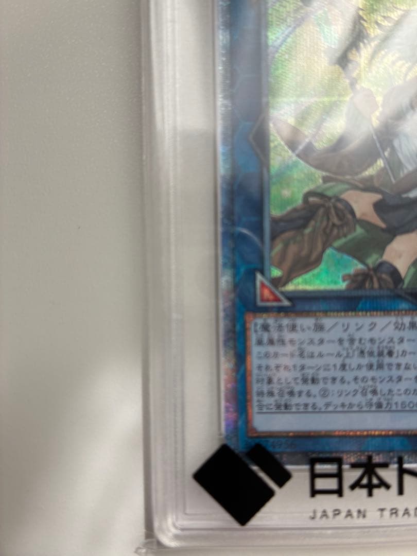 遊戯王 蒼翠の風霊使いウィン 20th PSA10