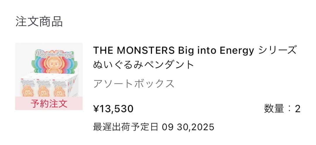 正規品・未開封 Labubu Big into Energy 6個セット ラブブ