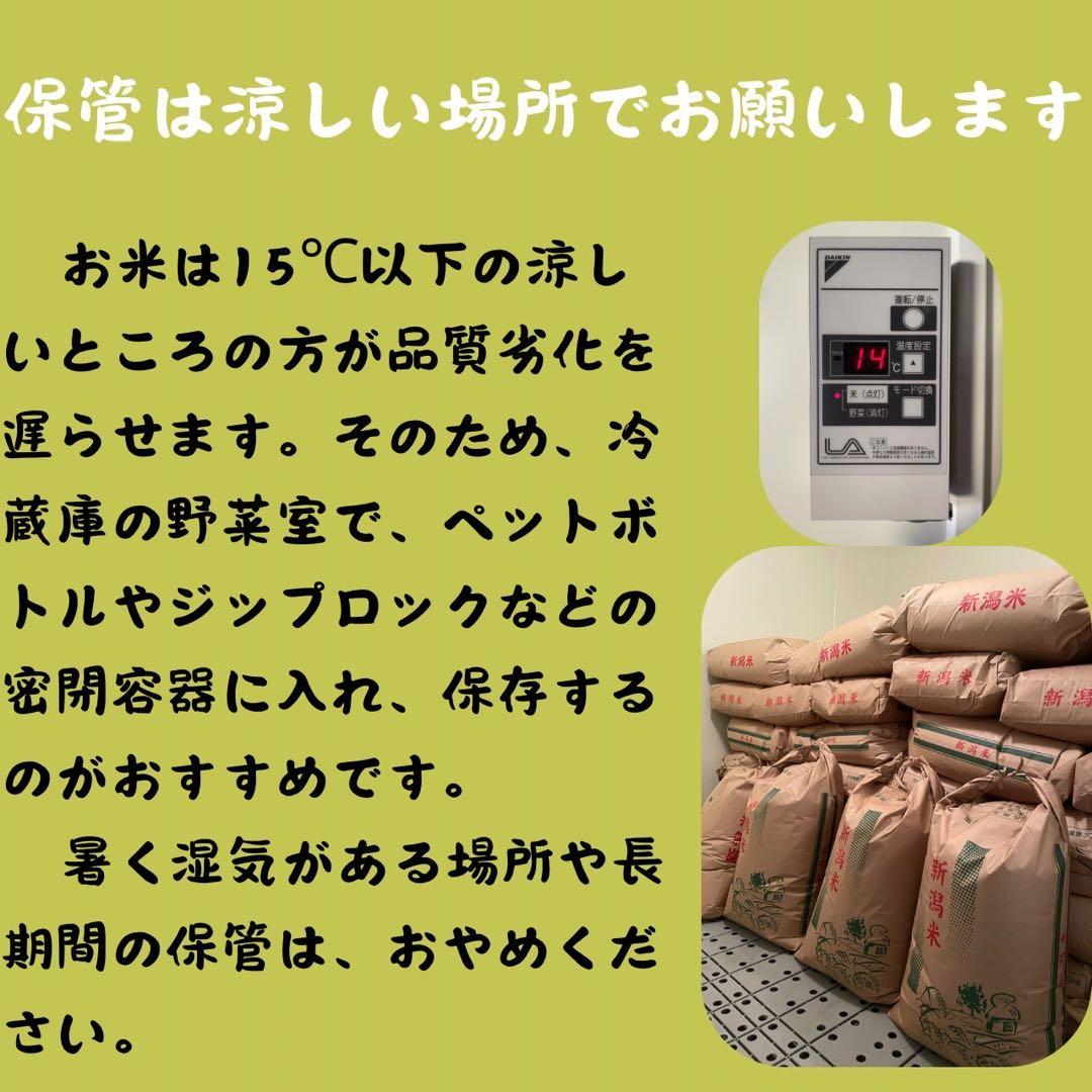 【最終出品】令和6年度　新潟県産 こがねもち 20kg（10キロ×2）