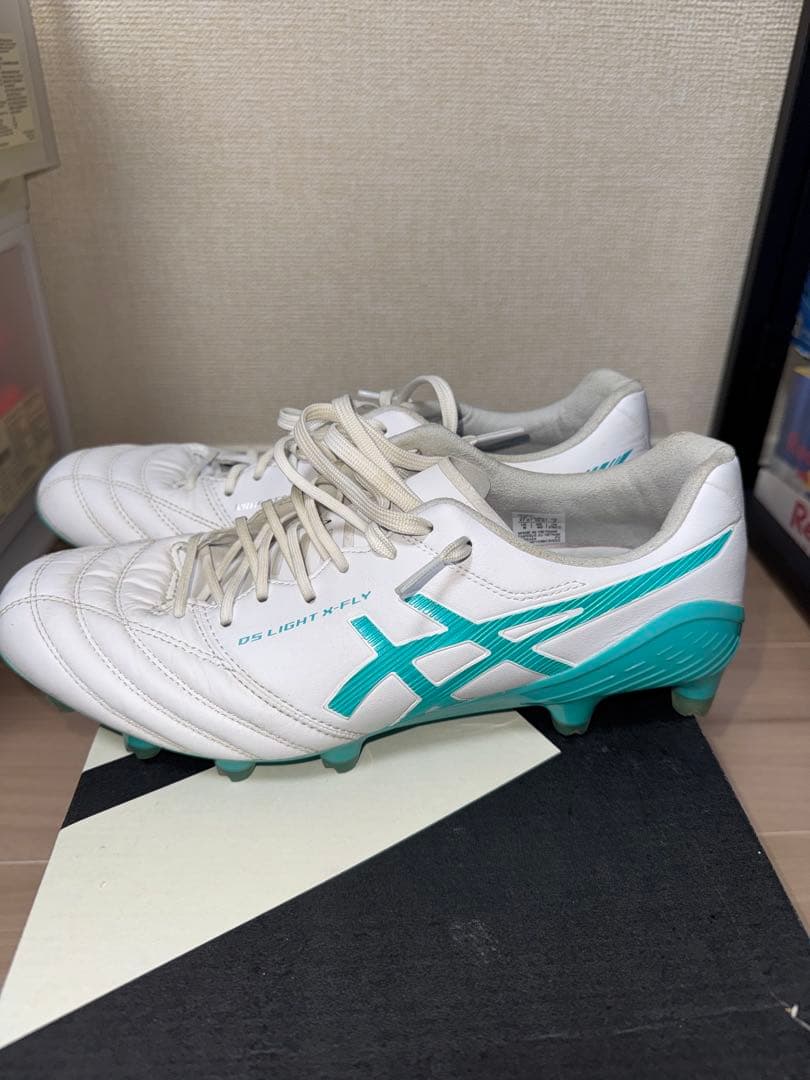 シューズ ASICS DS LIGHT X-FLY 5