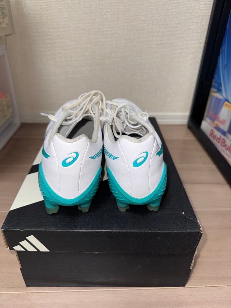 シューズ ASICS DS LIGHT X-FLY 5