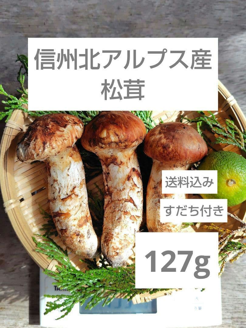 上つぼみ 松茸 127g すだちつき 信州 北アルプス産 天然きのこ 長野 国産