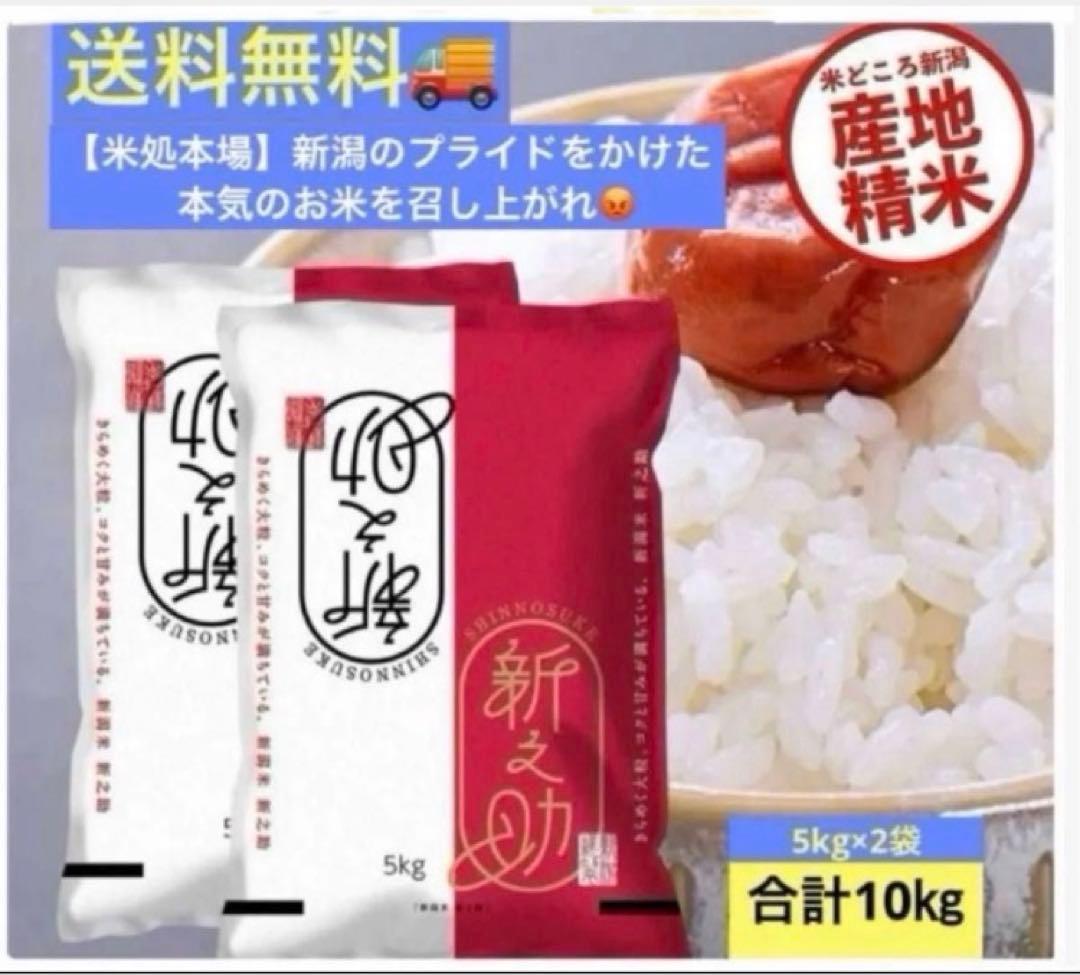 【土日限定】新潟の新ブランド米『新之助』10kg(5kg×2袋)★送料無料★