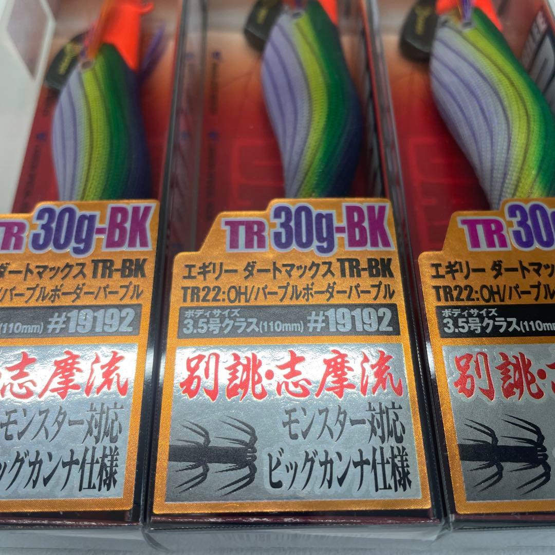 エギリーダートマックスTR30g セット