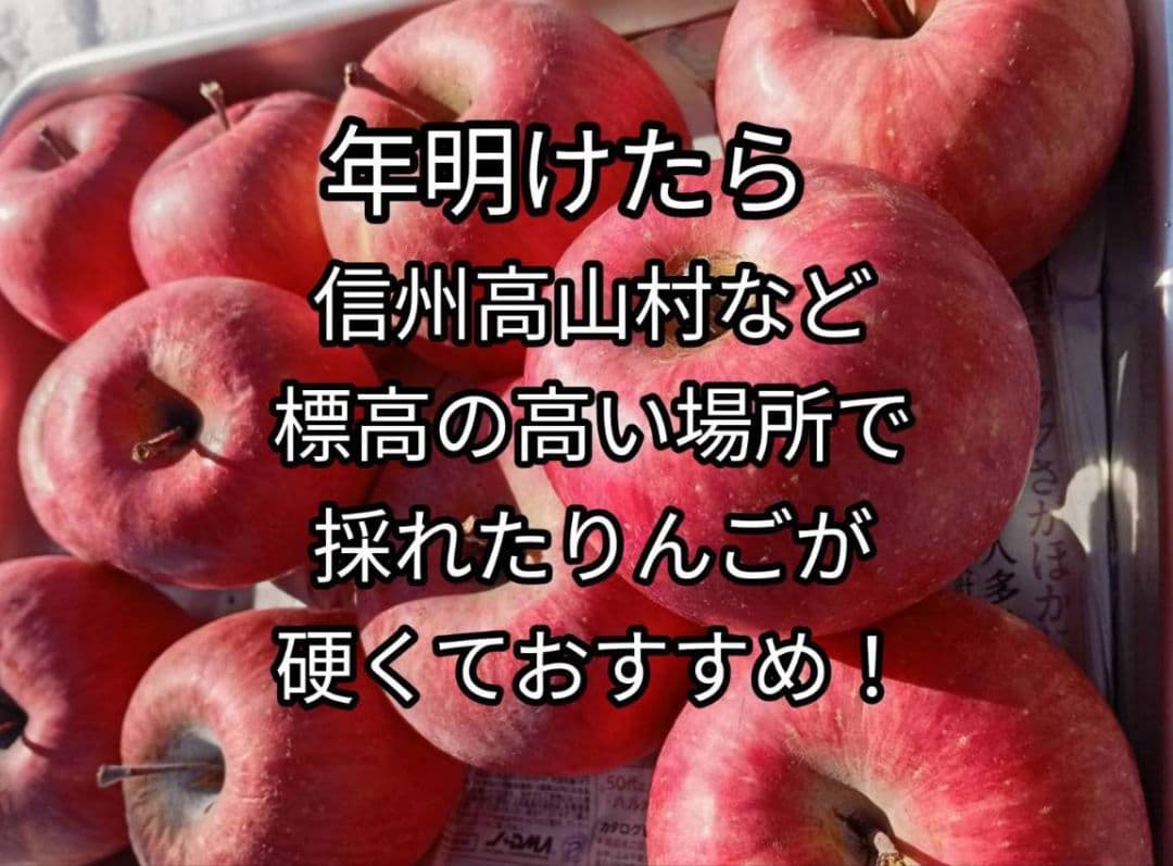 糖度21%！味は贈答用クラス10キロ【シャキシャキ】信州高山村産サンフジ