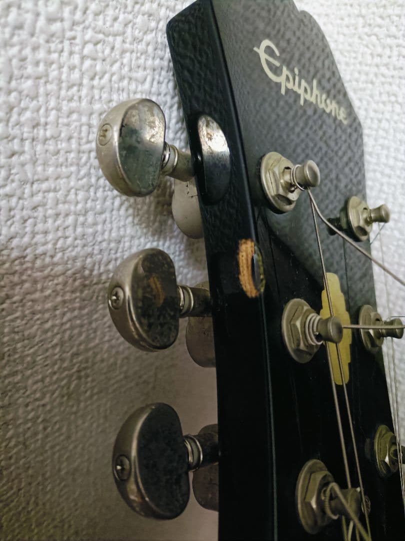 【6pチーズ 】 Epiphone DOT VS