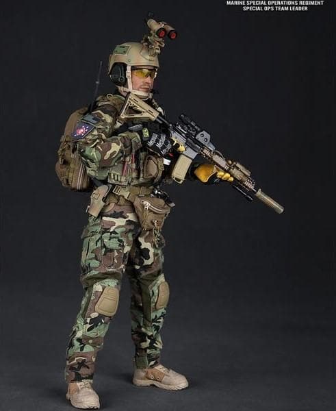 DAMTOYS　MARSOC　TEAM LEDER　78006