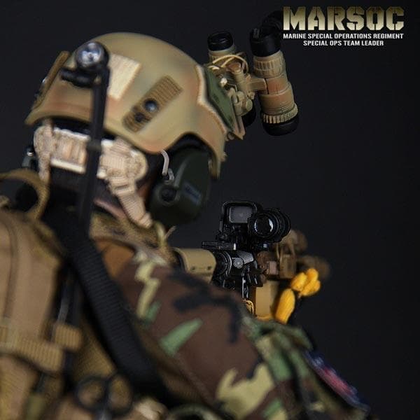 DAMTOYS　MARSOC　TEAM LEDER　78006