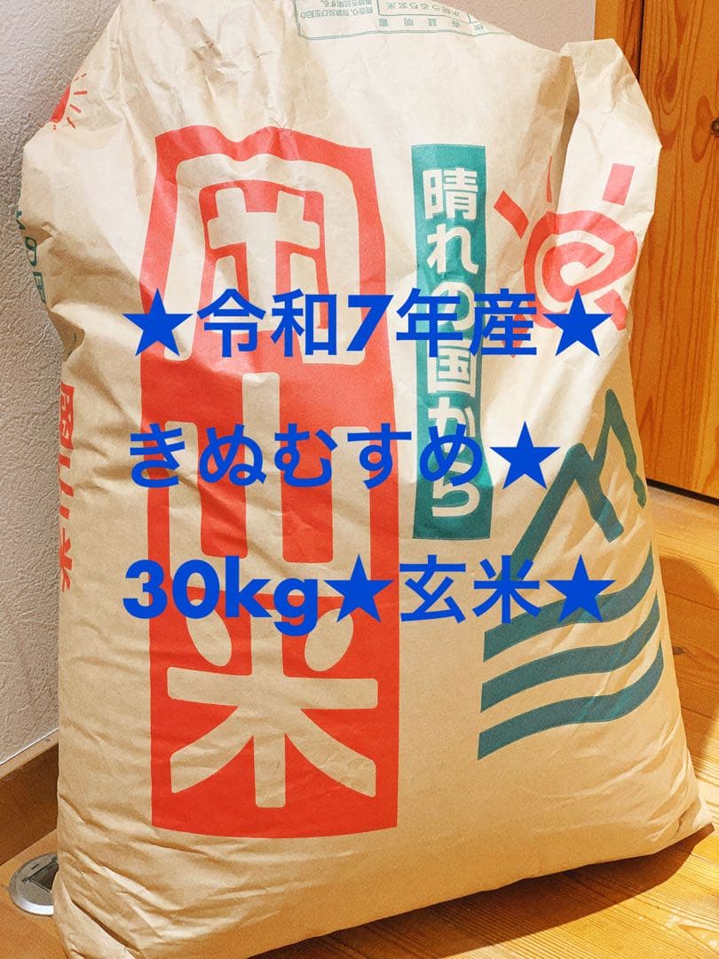 ★農家直送　きぬむすめ 30kg 玄米 令和7年産