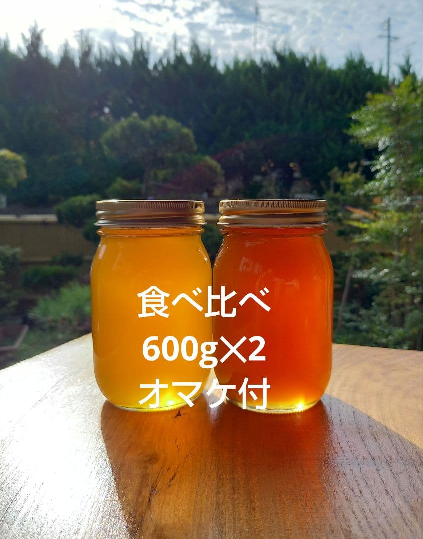 日本蜜蜂完熟ハチミツ（食べ比べ、600g✕2瓶）