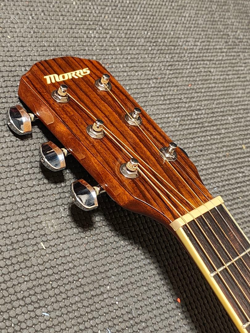 Morris S-20TS/エレアコ ソフトケース付