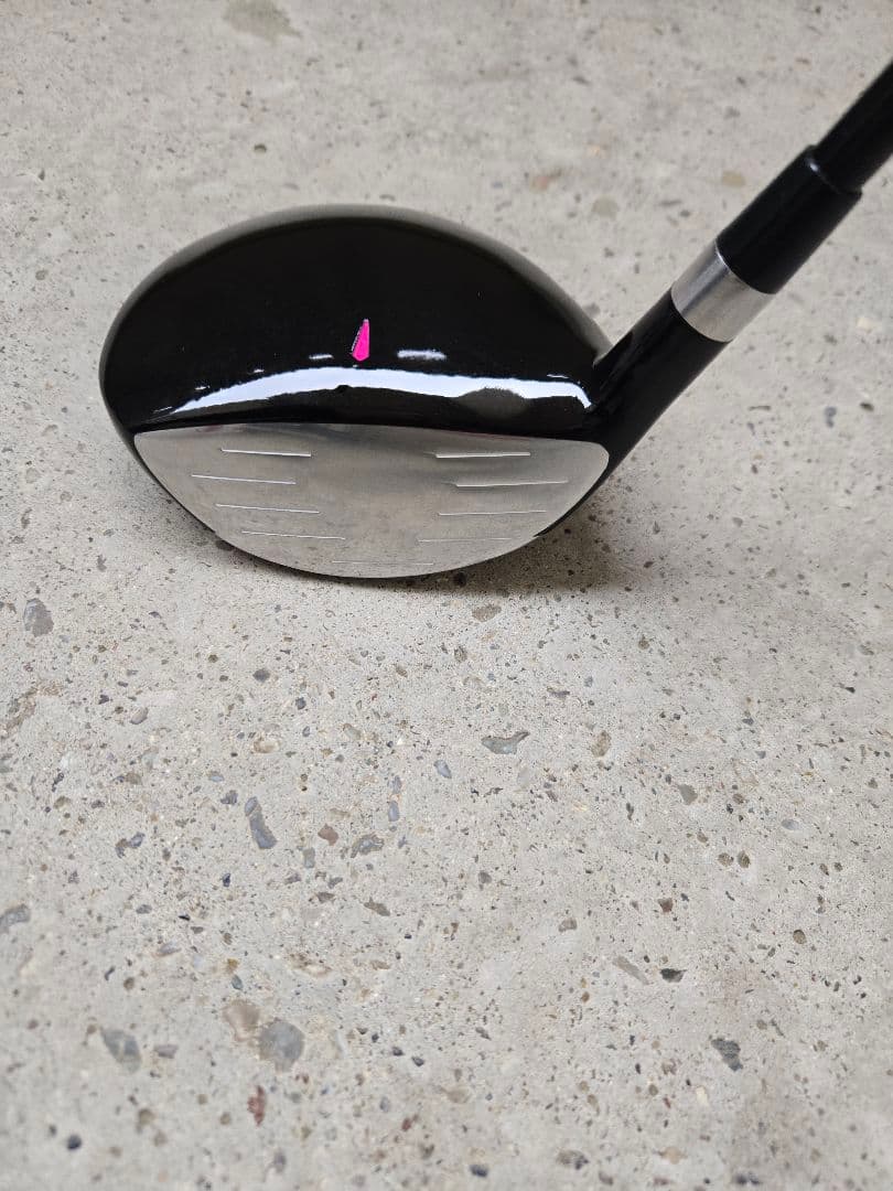 ワールドイーグル　FL-01 V2　レディースゴルフ10本セット　FLEX-L