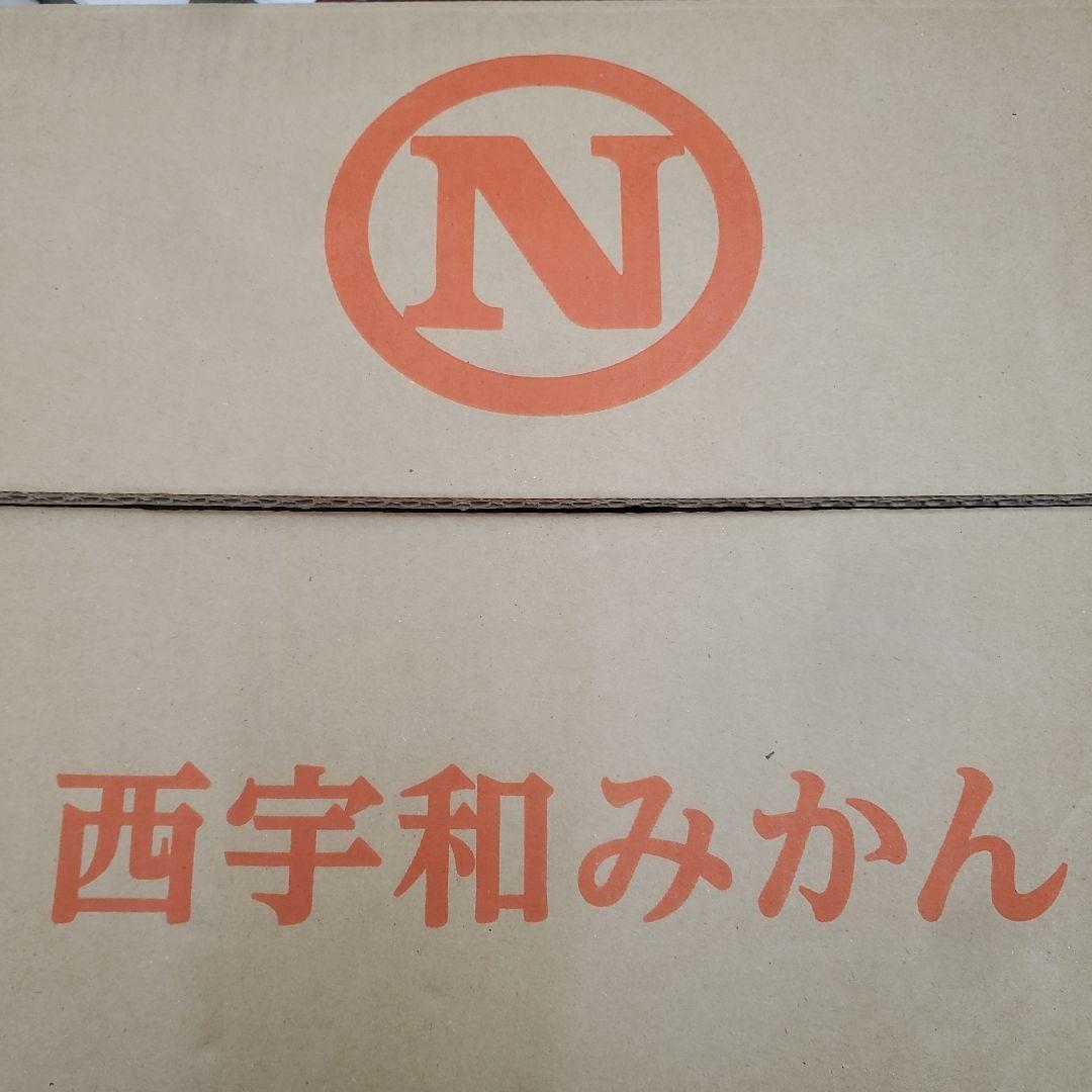 0️⃣0️⃣ 愛媛県産 真穴みかん Sサイズ 箱込み１０キロ①