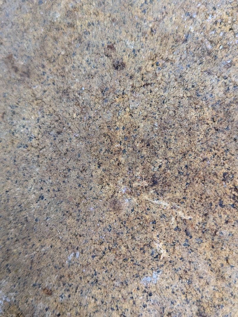 海外コレクター向き明治時代〜昭和戦前期頃蛙苔むした全長２３センチ重さ５キロ飾置物