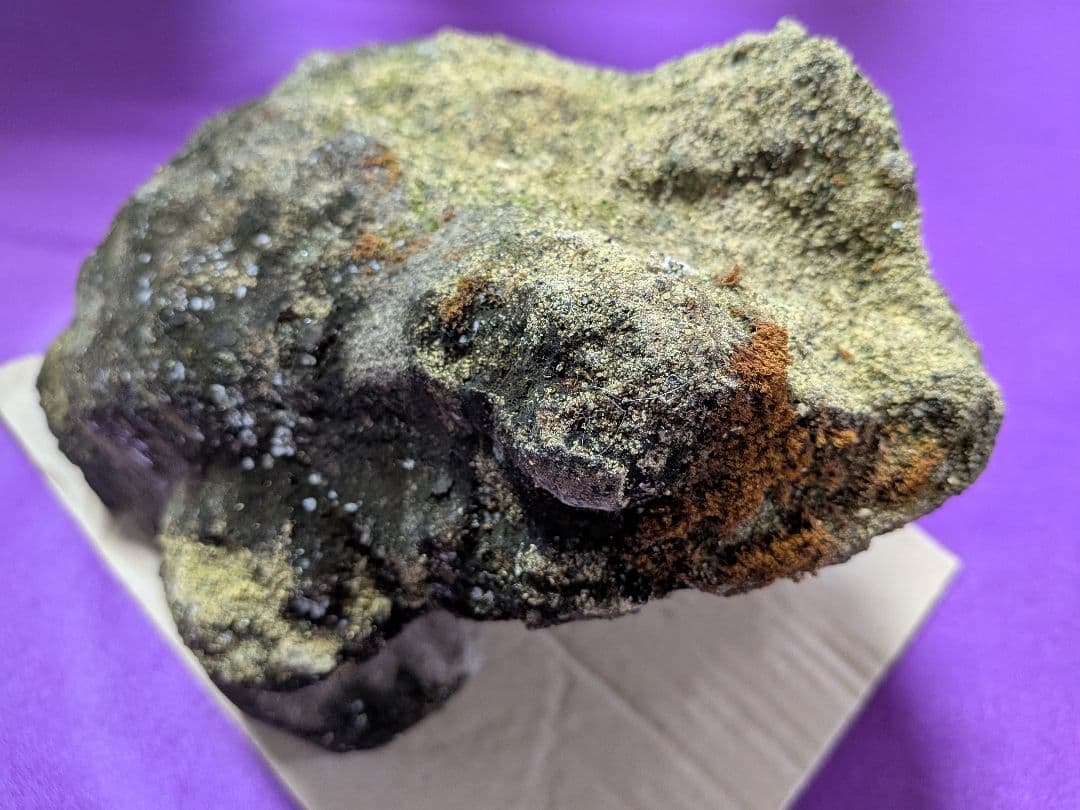 海外コレクター向き明治時代〜昭和戦前期頃蛙苔むした全長２３センチ重さ５キロ飾置物