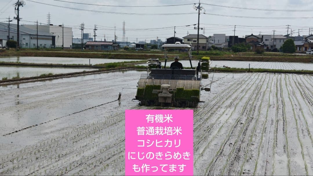 コシヒカリ　【JAS認定】有機米10キロ 玄米　送料込　令和7年産