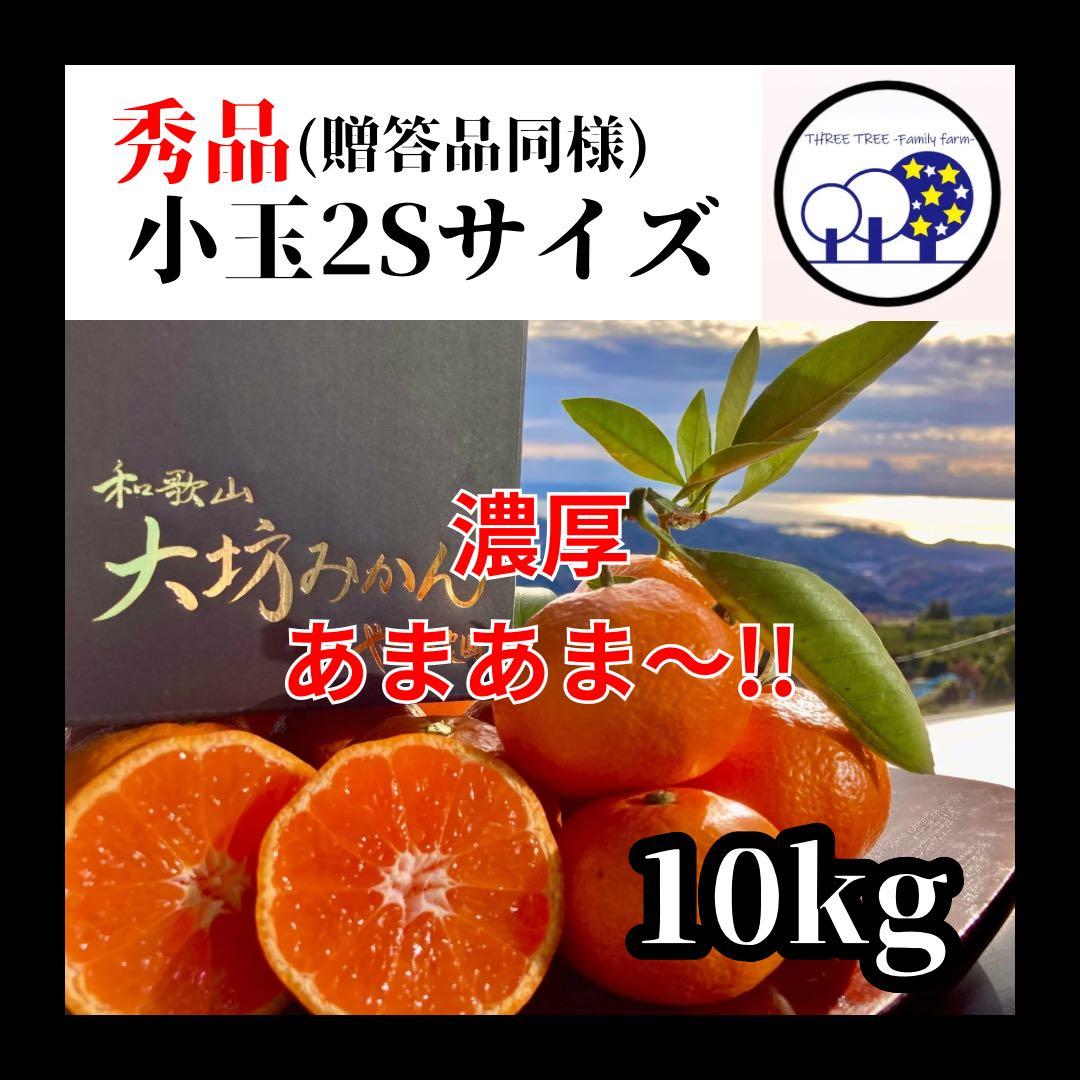 ①温州みかん 樹熟大坊みかん 秀品(贈答品同様)2Sサイズ10kg