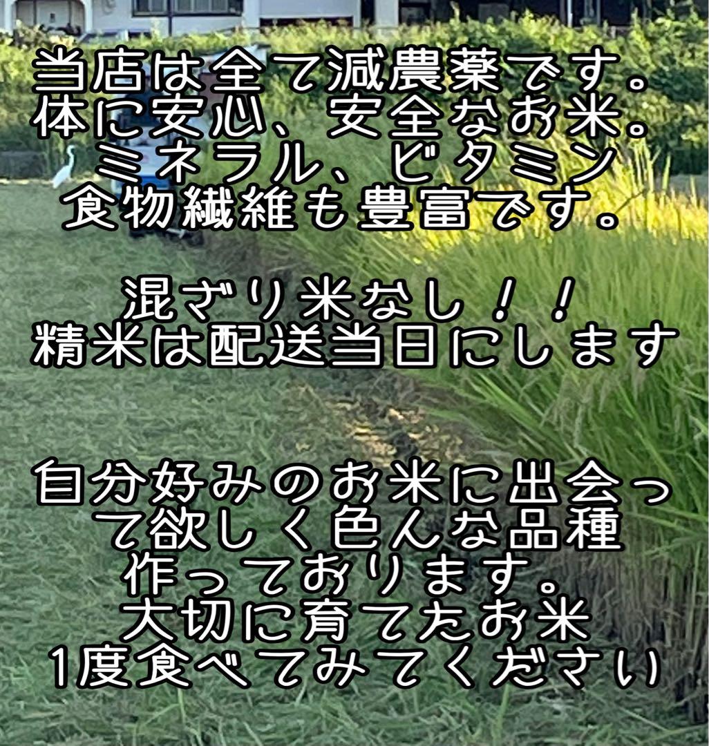 令和7年　奈良県産　れんげ特別栽培米減農薬　有機肥料ひのひかり10kg