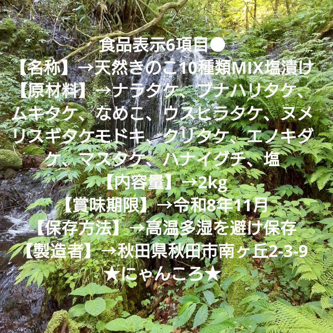 秋田県産 天然きのこ 10種類MIX 塩漬け